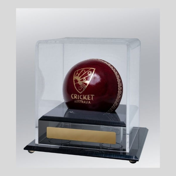 Acrylic Ball Holder - Cricket & Baseball – Kingston Trophies