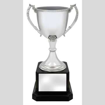 Footy Tipping Trophies – Reward the Ultimate Tipping Champion ...